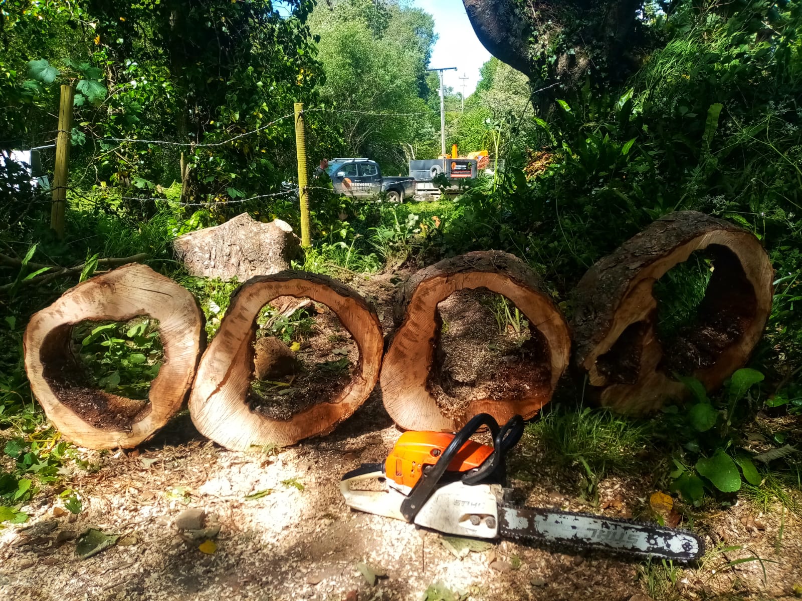 Gallery - Treeworks Cornwall