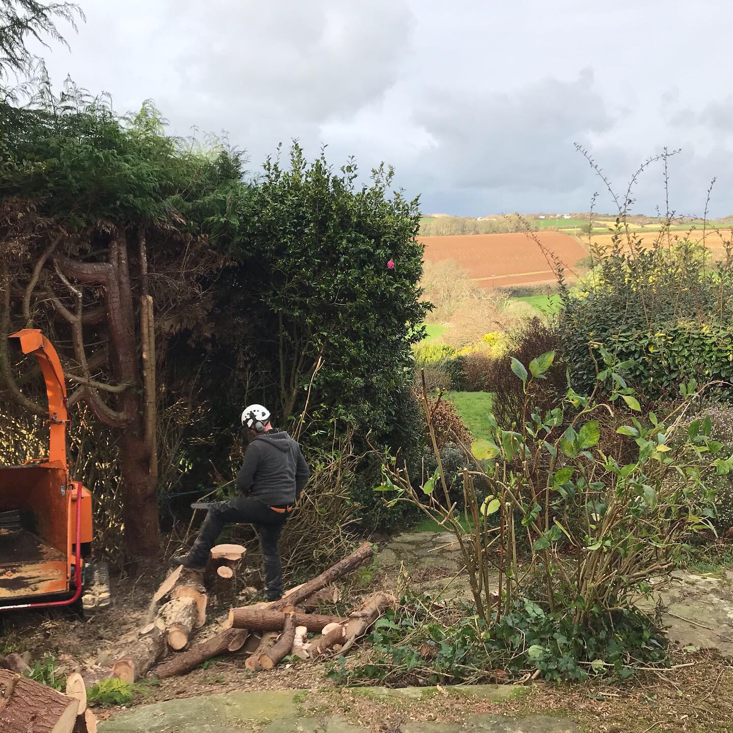 Grounds Maintenance - Treeworks Cornwall