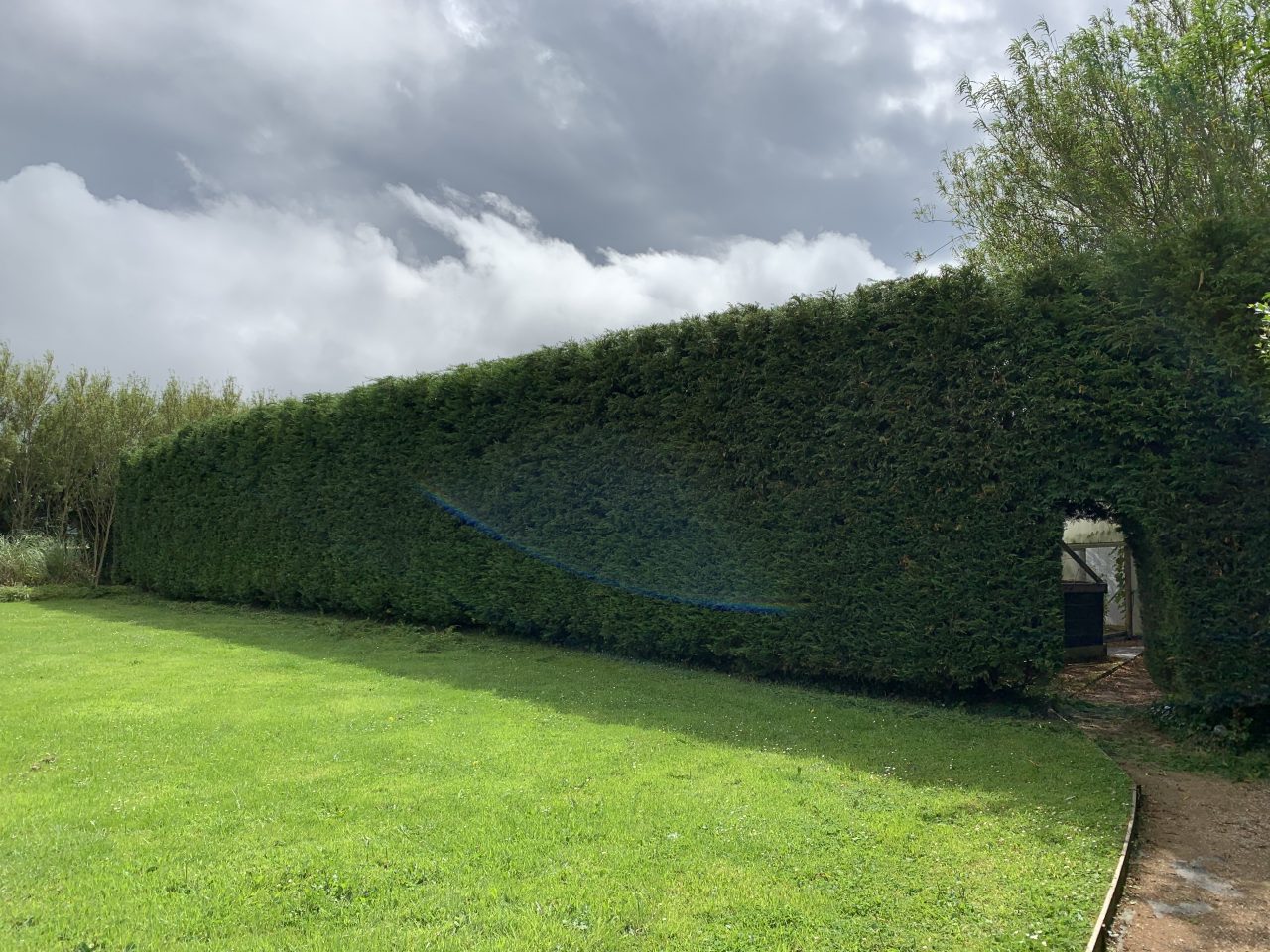 Grounds Maintenance - Treeworks Cornwall