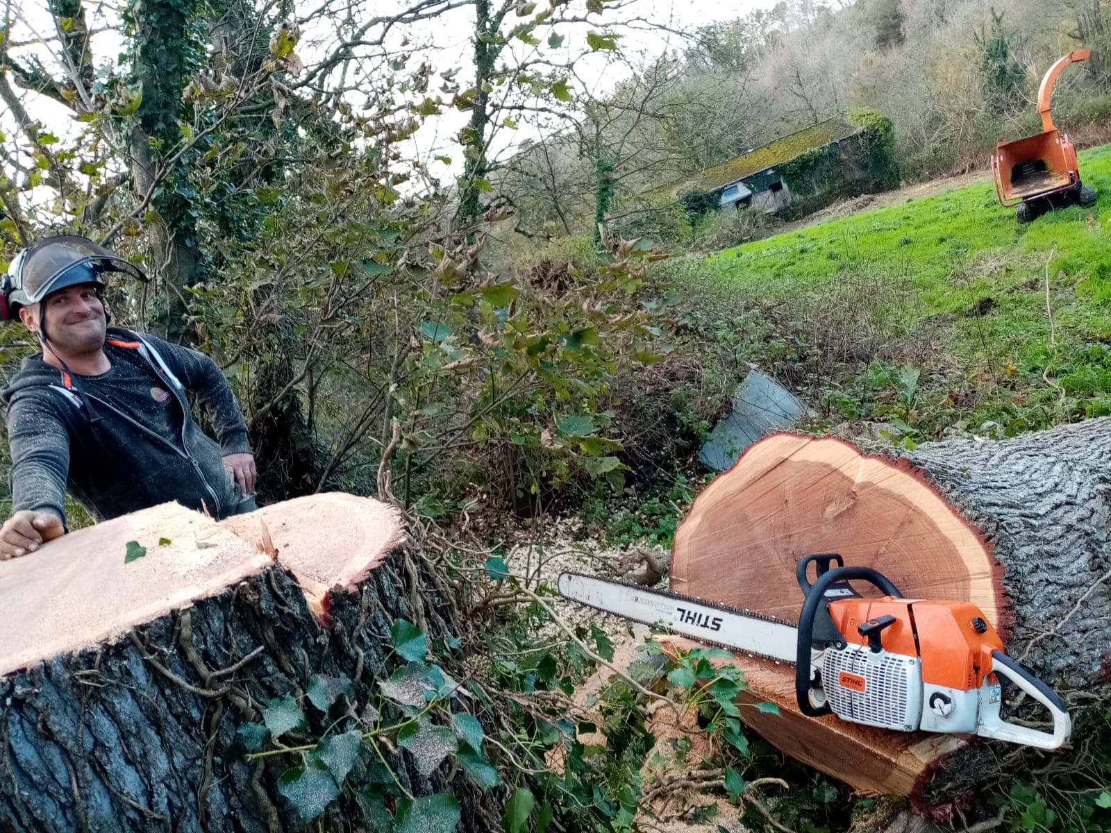 Contact Us - Treeworks Cornwall