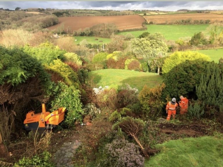 Grounds Maintenance - Treeworks Cornwall