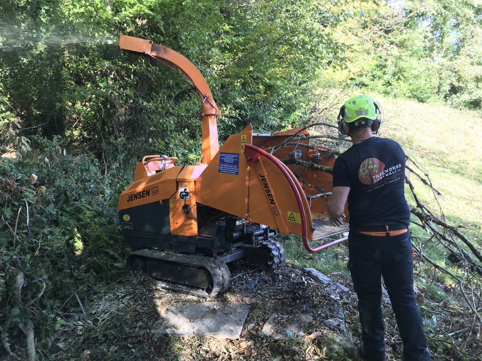 Tree Surgery - Treeworks Cornwall