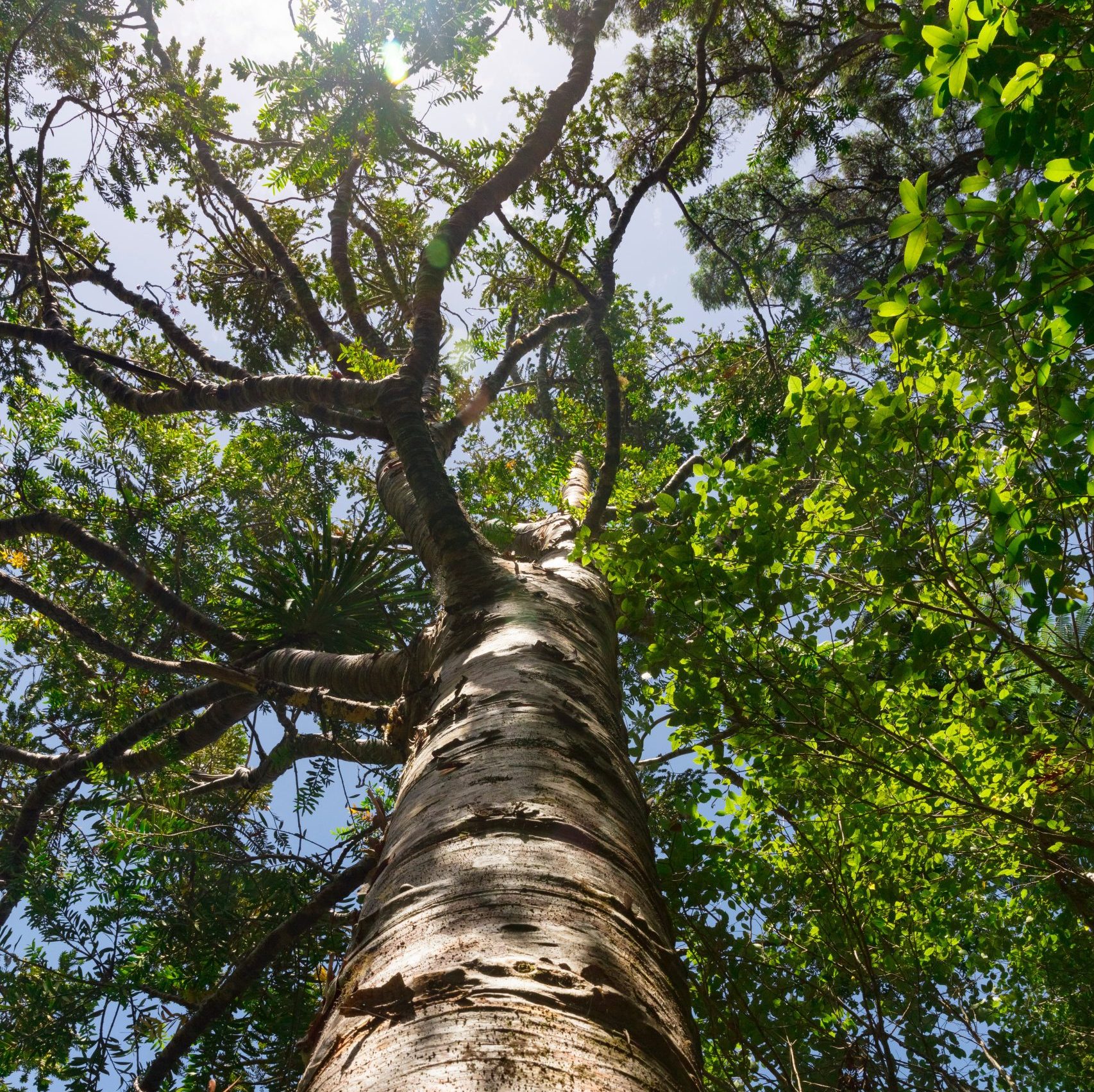 About Us - Treeworks Cornwall