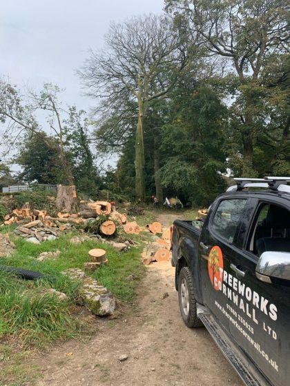 About Us - Treeworks Cornwall