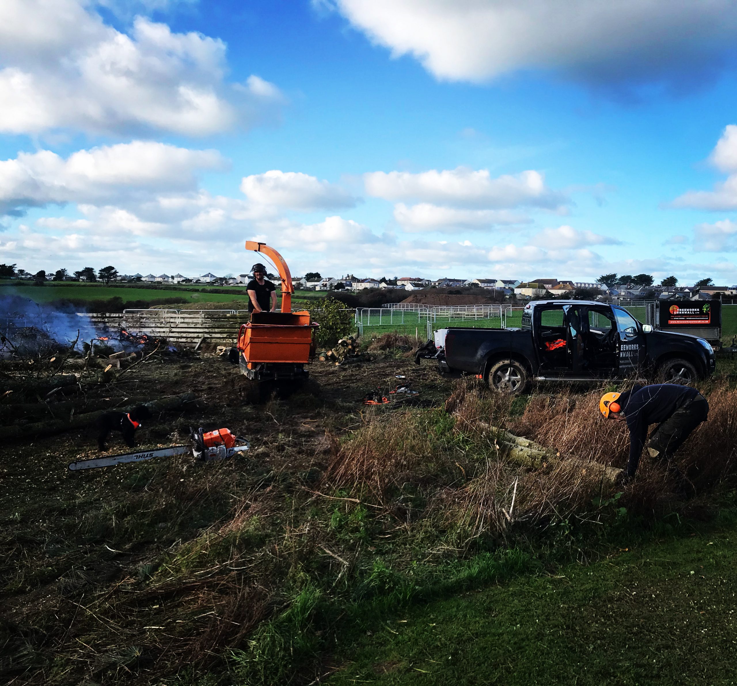 Contact Us - Treeworks Cornwall