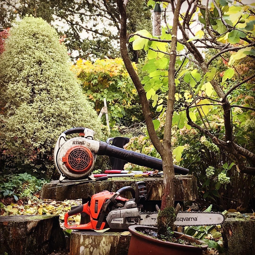 Tree Surgeon Cornwall