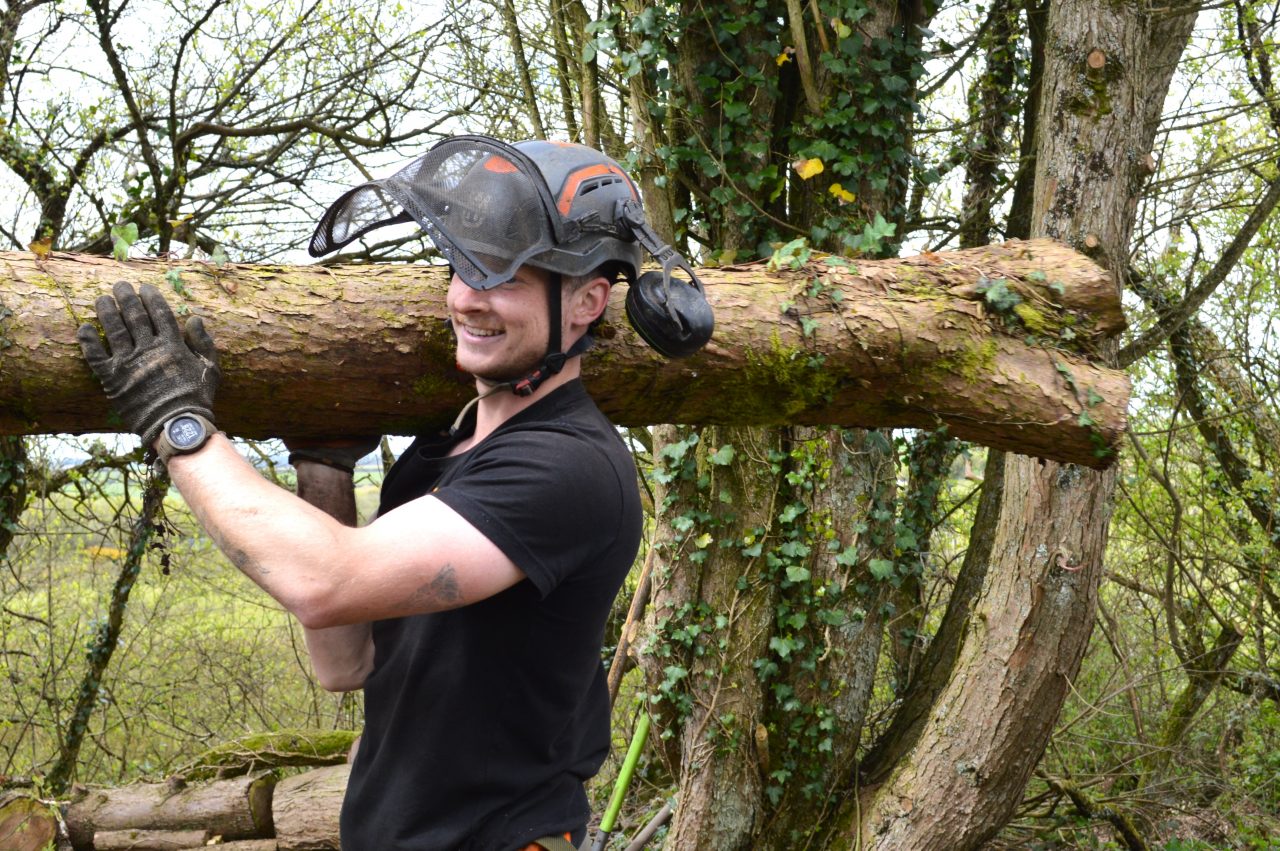 Tree Surgeon Cornwall