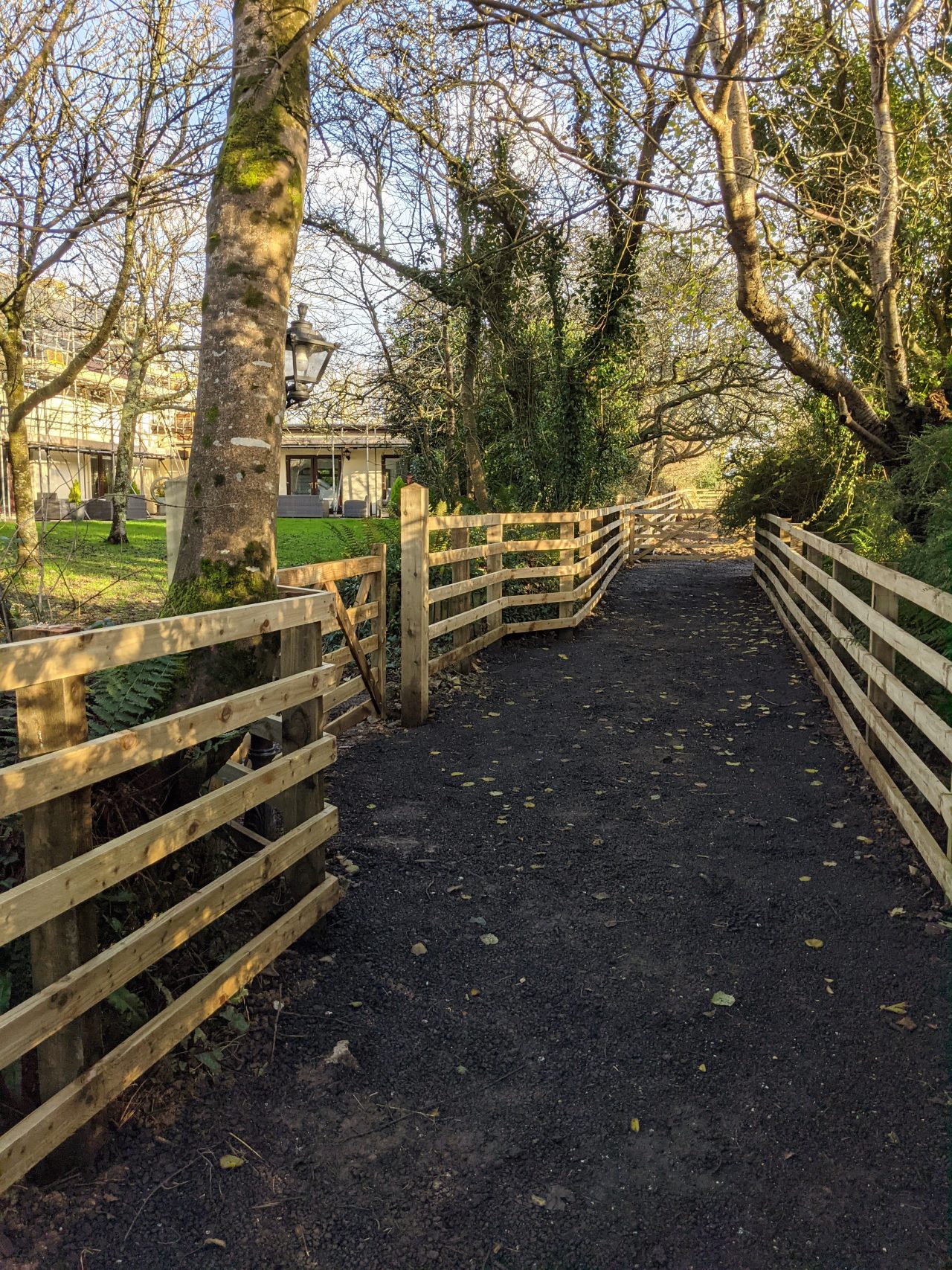Tree Surgeon Cornwall